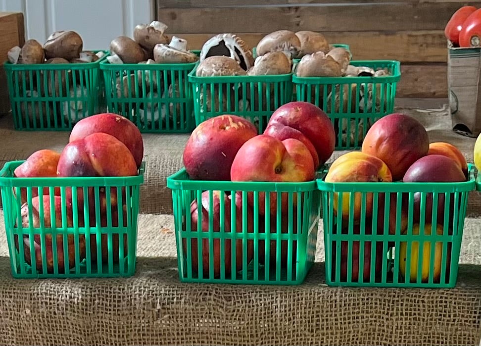 Nectarines (seconds) – Small Scale Farms