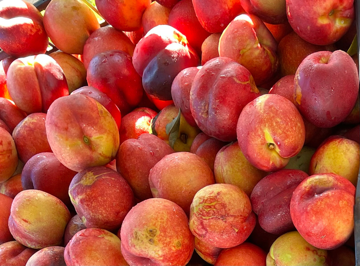 Nectarines (seconds) – Small Scale Farms