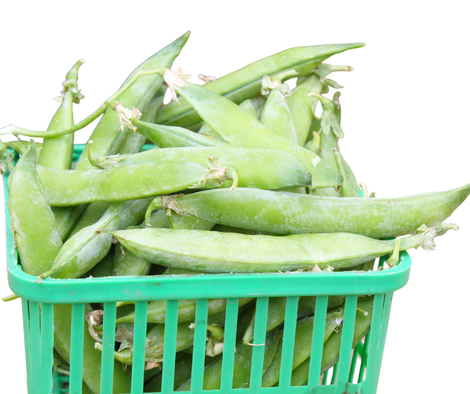 Pint of Local Peas – Small Scale Farms