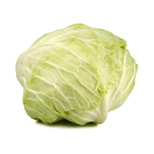 Local Flat Cabbage – Small Scale Farms