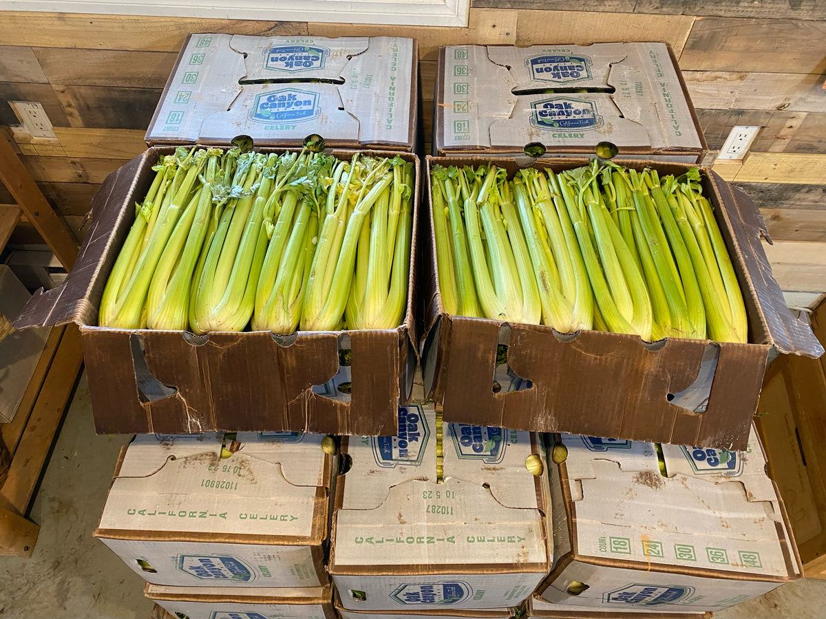 Celery FD – Small Scale Farms