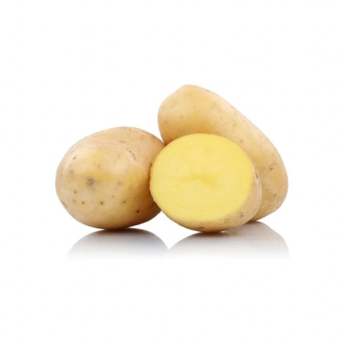 10lb bag russet potatoes – Small Scale Farms