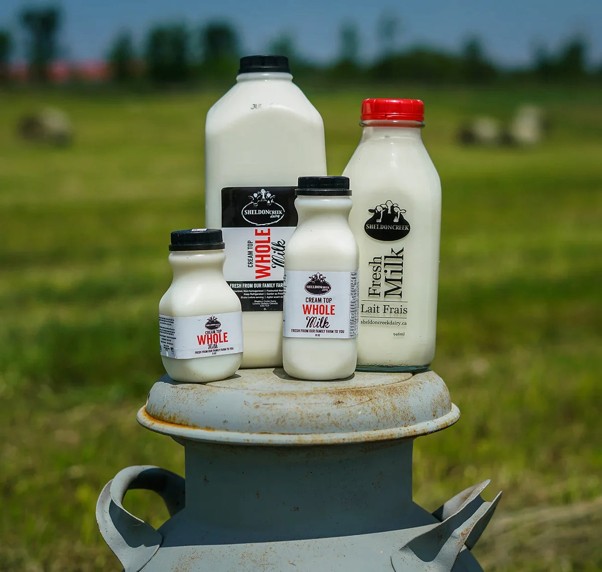 A2A2 Whole Milk - FREE DELIVERY – Small Scale Farms