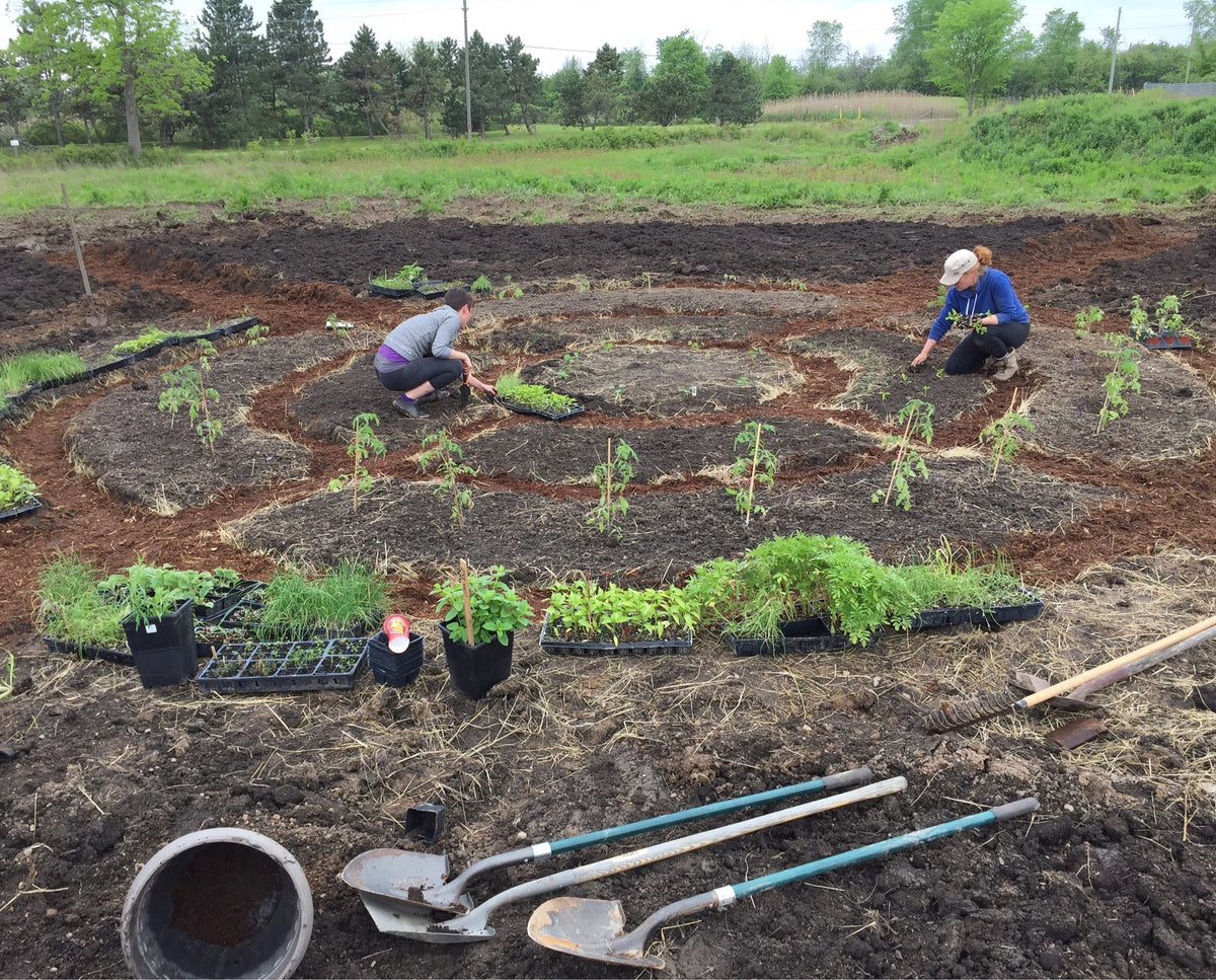 Spring 2025 Farm School - The Introduction Classes – Small Scale Farms