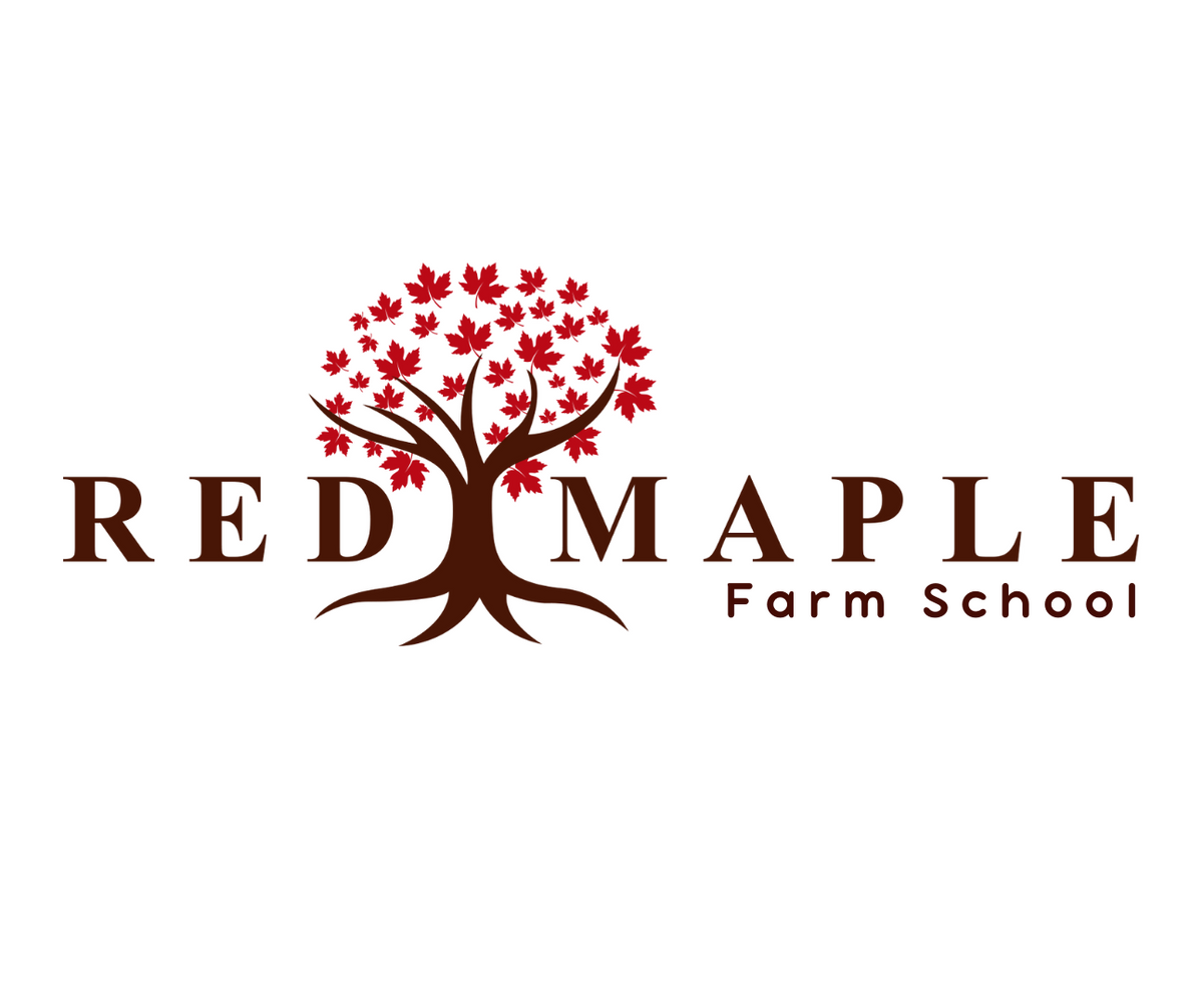 Homesteading 101 – Small Scale Farms