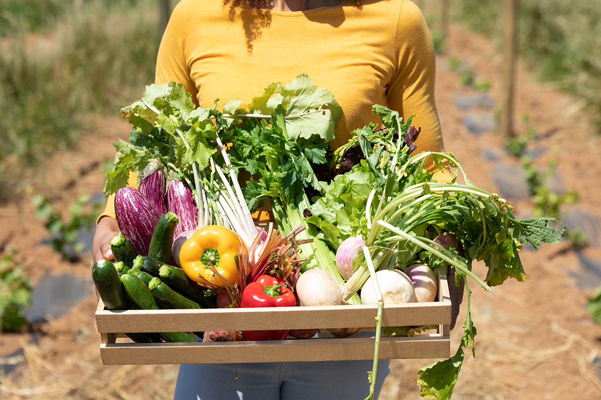 Pay What You Can Sponsorship – Small Scale Farms